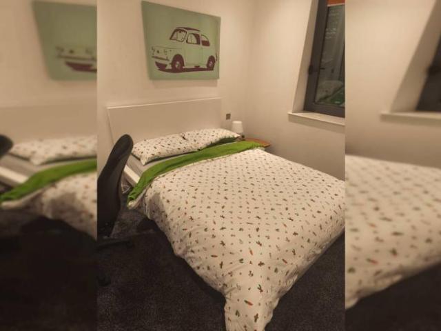 Shared Living/roommate 4 Bedroom For Rent London London 1250 ELS97099991