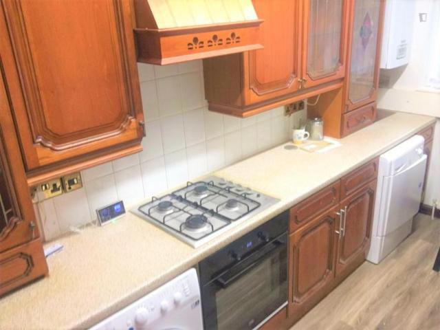 Shared Living/roommate 4 Bedroom For Rent London London 1230 ES90563124