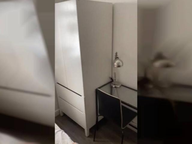 Shared Living/roommate 4 Bedroom For Rent London London 735 ELS101840854