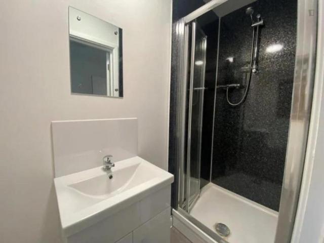 Shared Living/roommate For Rent London London 1200 ES90562071