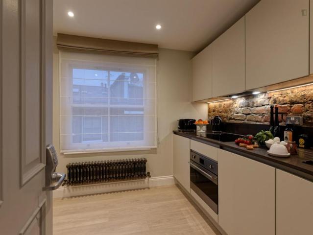 Shared Living/roommate For Rent London London 2656 ES90561151