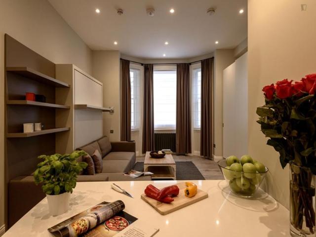 Shared Living/roommate For Rent London London 2879 ES90561048