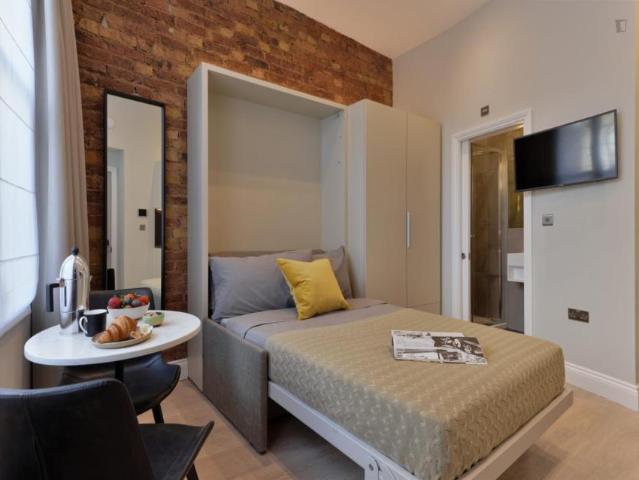 Shared Living/roommate For Rent London London 3102 ES90561031