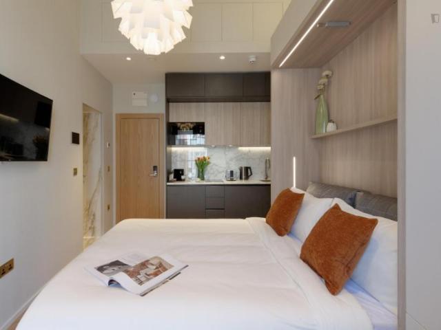 Shared Living/roommate For Rent London London 3548 ES90561451
