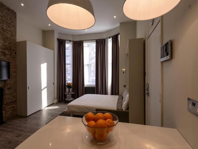 Shared Living/roommate London London 90561057
