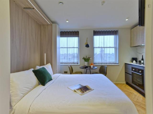 Shared Living/roommate London London 90561459