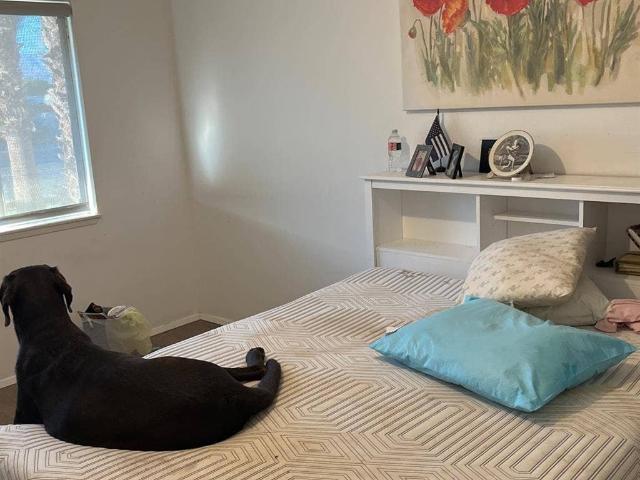 Shared three bedroom house in PD