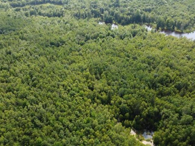 Sharon Ln, Cherryfield, Plot For Sale