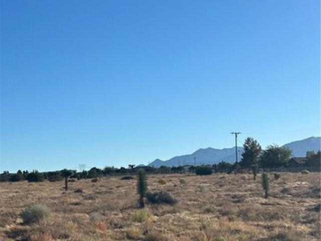 Shasta, Phelan, CA 92371