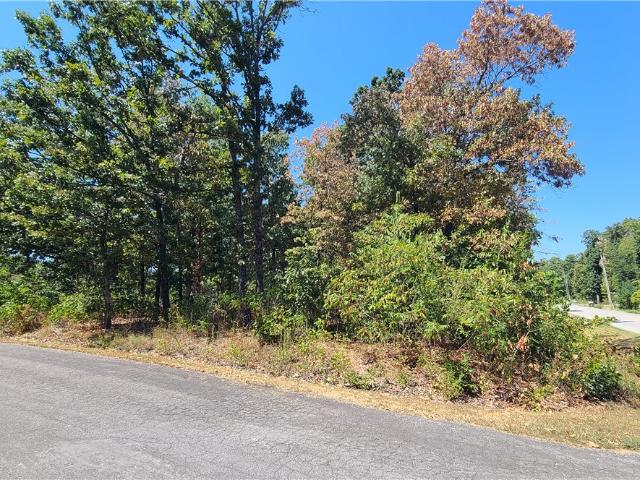 Shetland Drive