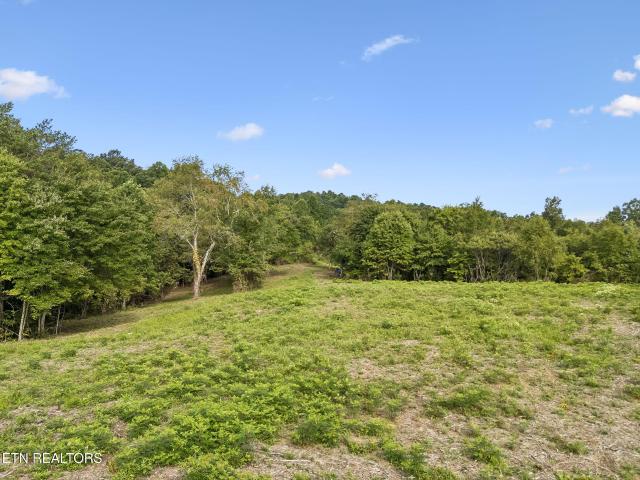 Sheep Ranch Rd. Tract 3 Rd, Robbins, TN 37852