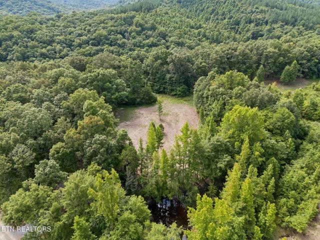 Sheep Ranch Rd, Robbins, TN 37852