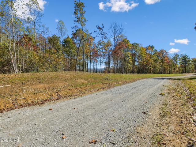 Sheep Ranch Rd, Robbins, TN 37852
