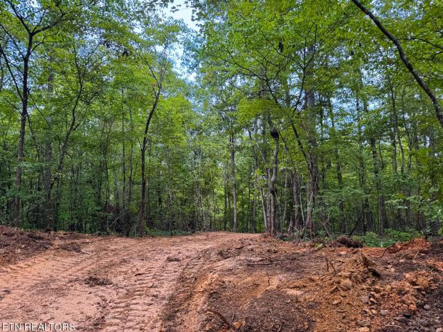 Sheep Ranch Rd. Robbins, TN 37852