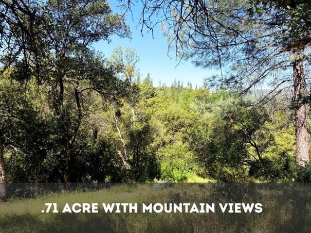 Sheep Ranch Rd, Sheep Ranch, CA 95246