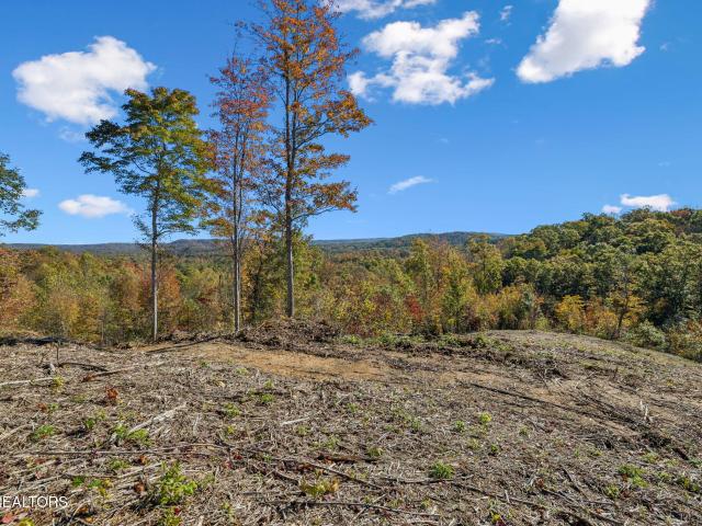 Sheep Ranch Road, Robbins, TN 37852