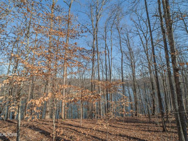 Sheerwater Rd, Kingston, TN 37763