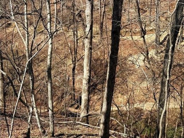 Sheffield Dr Lot 8, Bella Vista, AR 72714