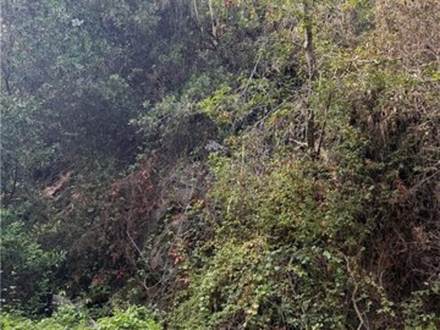 Sheffield St, Cambria, CA 93428