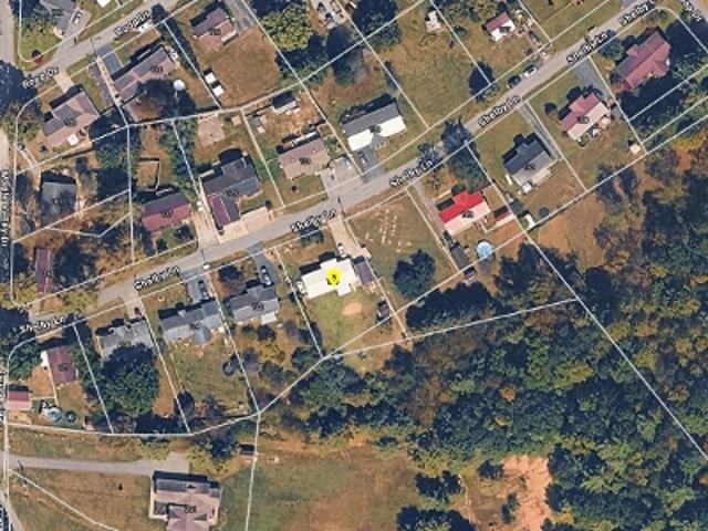 Shelby Ln