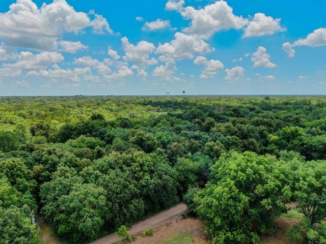 Shelby Ln, Ladonia, TX 75449
