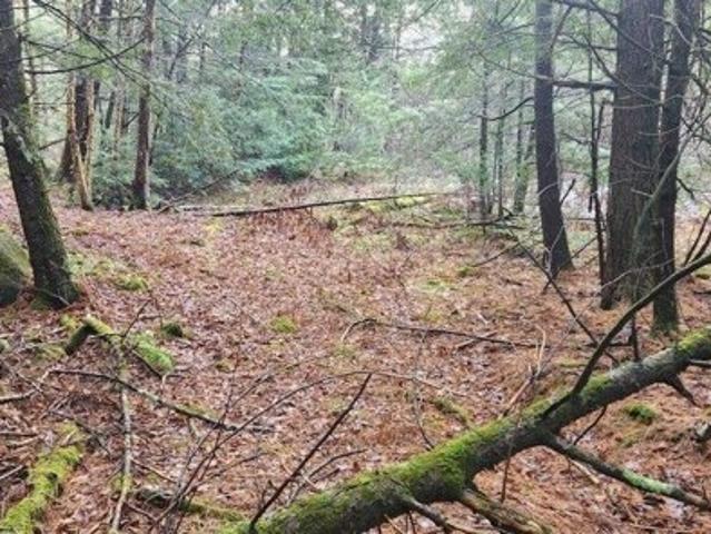 Sheldon Woods Rd, Fairfield, Plot For Sale