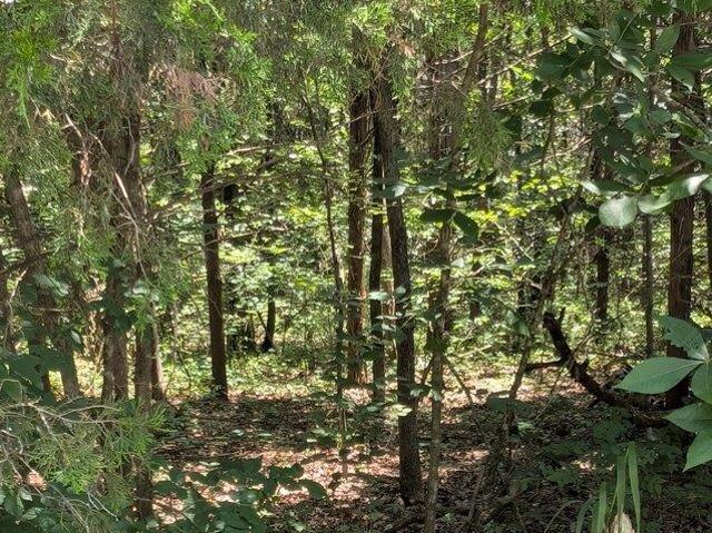 Shell Knob MO 65747 LS93334951