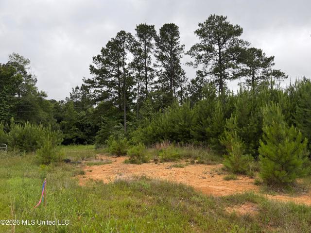 Shell Oil Road, Summit, MS 39666
