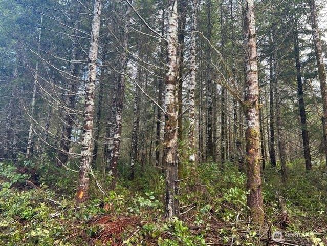 Shelton, WA 98584