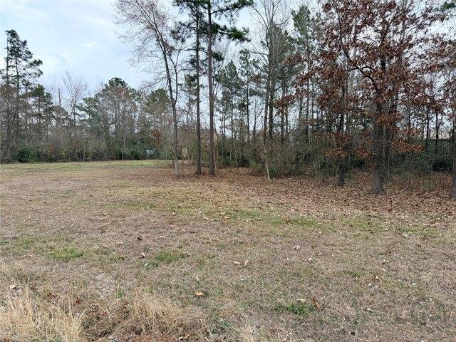Shelter Ln, Livingston, TX 77351