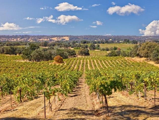 Shenandoah School Rd, Plymouth, CA 95669