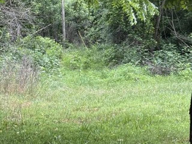 Shenandoah Valley Ave NE, Roanoke, VA 24012