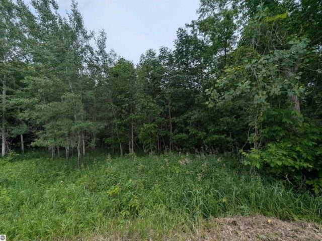 Shenfield Rd, Turner, MI 48765