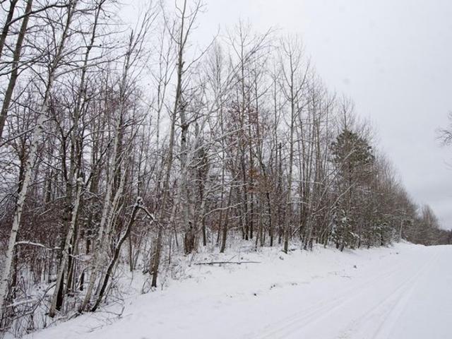 Sheridan Woods Ln NE, Outing, MN 56662