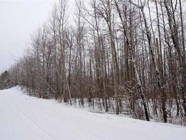 Sheridan Woods Ln NE, Outing, MN 56662