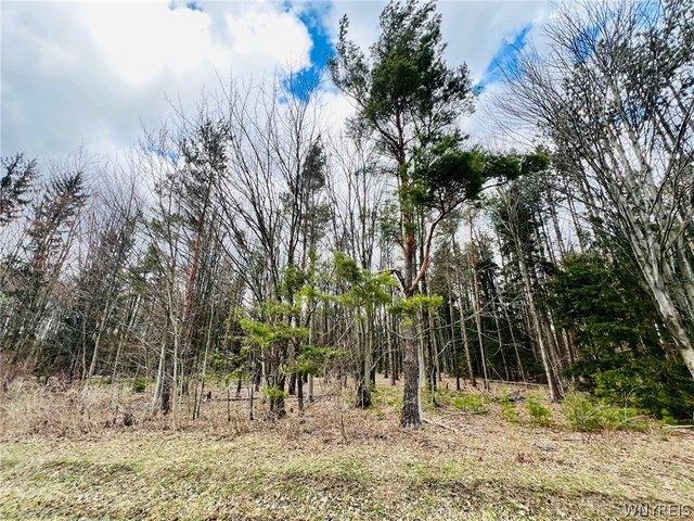 Shero Rd, Boston, NY 14025