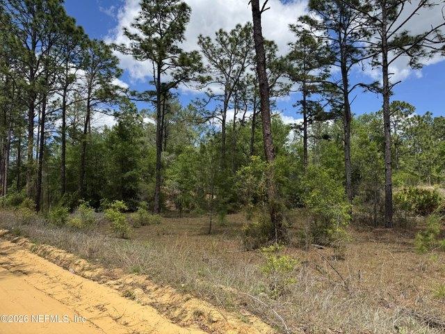 Sherman Oaks Dr Cir, Interlachen, FL 32148
