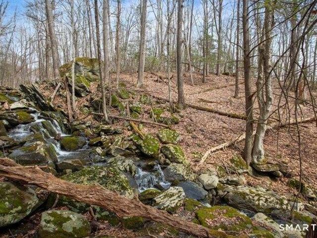 Sherman CT 06784 102063923