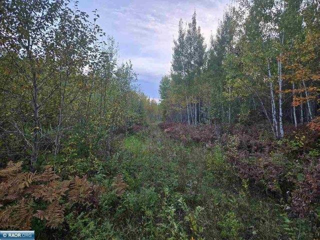 Sherwood Anderson Rd, Britt, MN 55710
