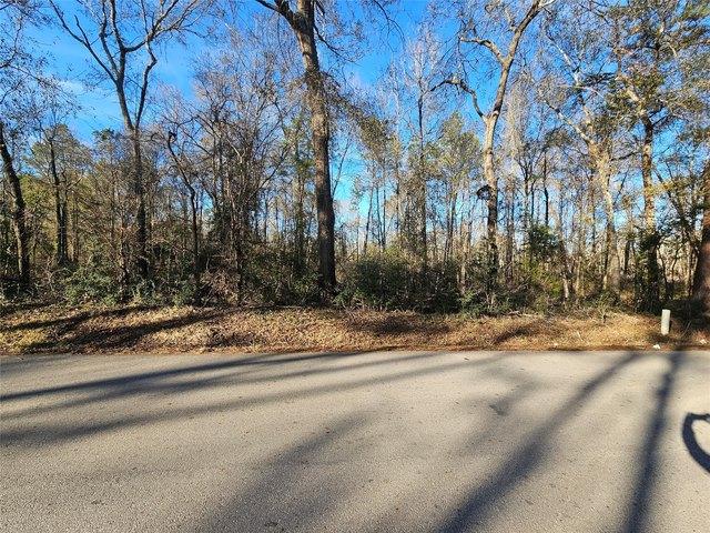 Sherwood Dr Lot 3, Shepherd, TX 77371