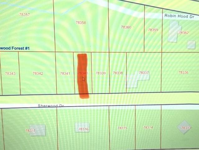 Sherwood Dr, Shepherd, TX 77371