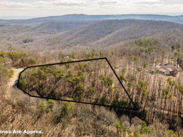 Shivas Crst, Rising Fawn, GA 30738
