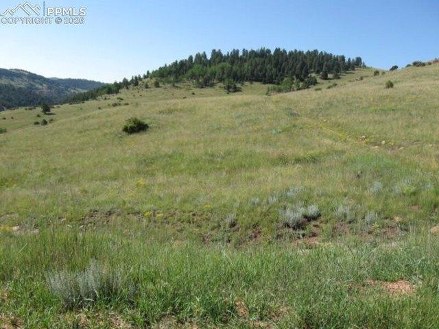 Shideler Ave Lot 9 10, Cripple Creek, CO 80813