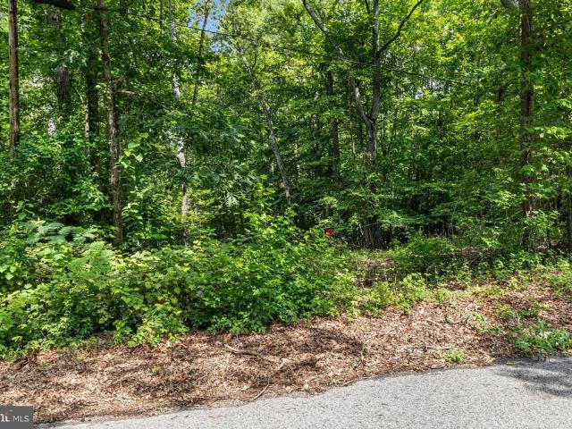 Shiloh Church Road