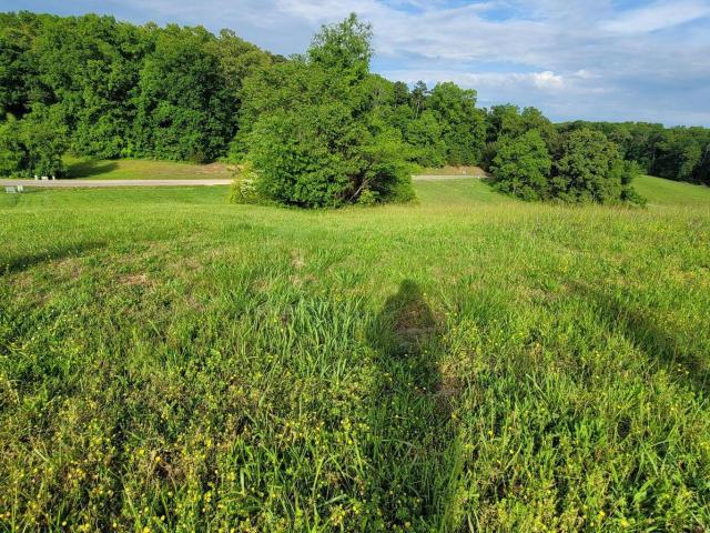 Shiloh Springs Rd, Rutledge, TN 37861