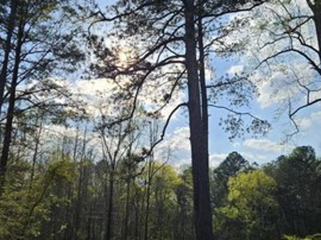 Highway 15, Greensboro, GA 30642