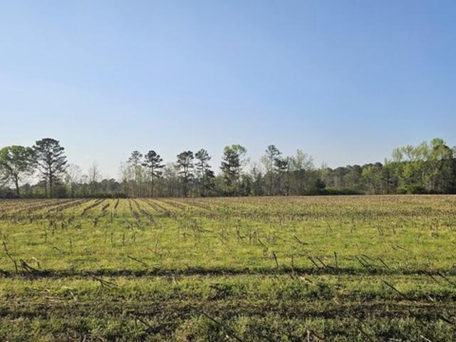 Shiloh Rd, Greensboro, GA 30642