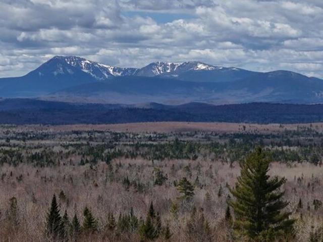 Shin Pond Rd Lot, Mount Chase, Plot For Sale