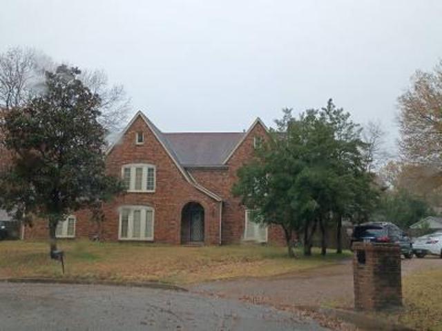 Shingle Oaks Cv