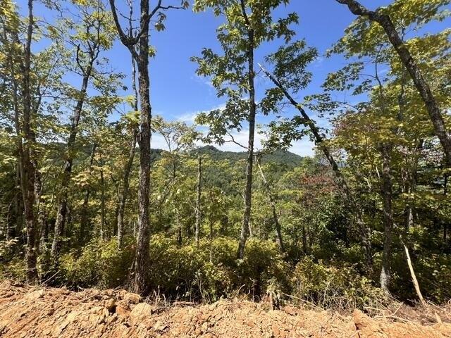 Shiners Rdg Lot 30, Bryson City, NC 28702
